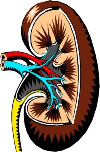 Proteinuria in Lupus Nephritis: Video tips and the bottom line